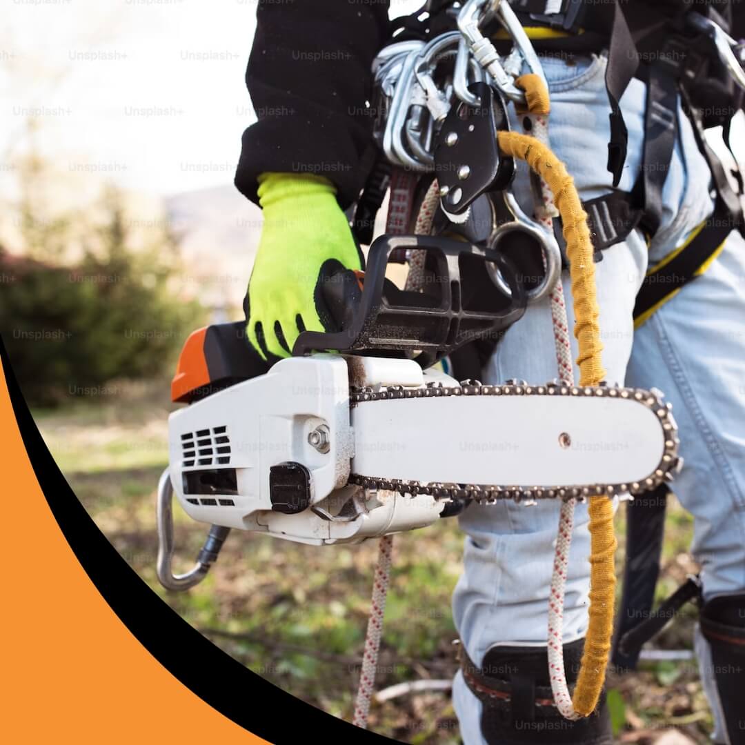 Lančane testere - Alati Prodaja - Prodaja original novih testera